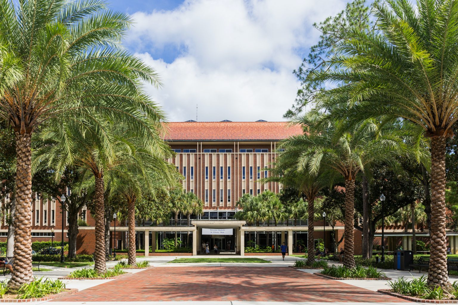 Graduate - Computer & Information Science & Engineering