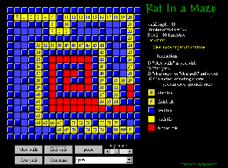 Rat In A Maze